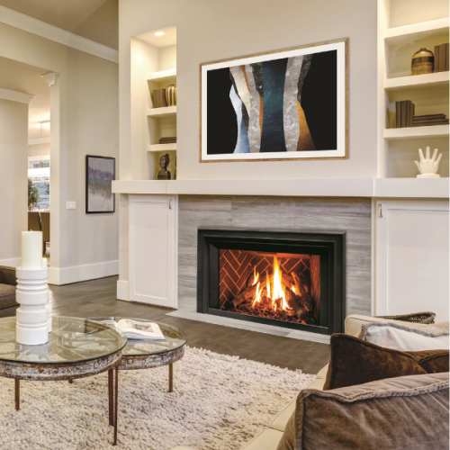 Insert au gaz SÉRIE EX